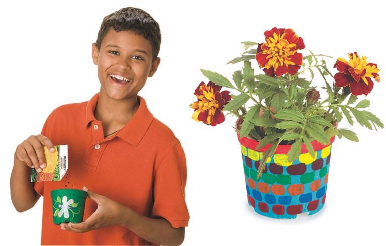 Grow Your Own Morning Glories - Garden Craft Kit - S&S Blog