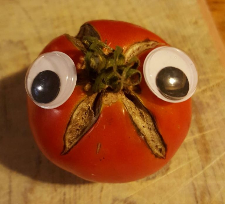 24 Ways to Get Creative with Wiggly Eyes - Ideas by Crafty Kate - S&S Blog