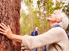 arbor day - S&S Blog