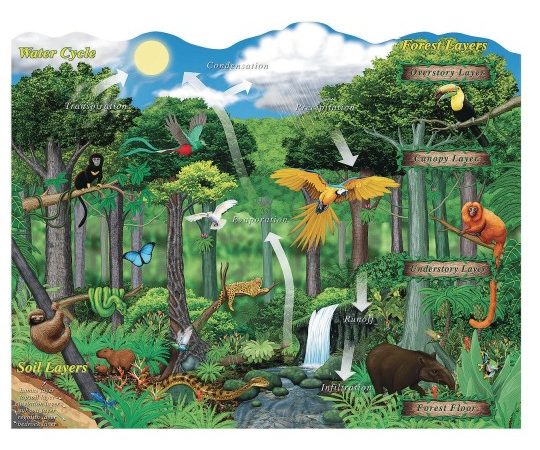 28 Puzzles & Brain Games For Kids - S&S Blog