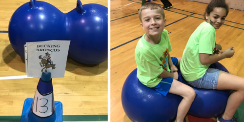 Barnyard Themed Field Day Stations for PE - S&S Blog