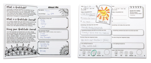 Gratitude Journals for Education - A Self Reflection Project for Kids ...