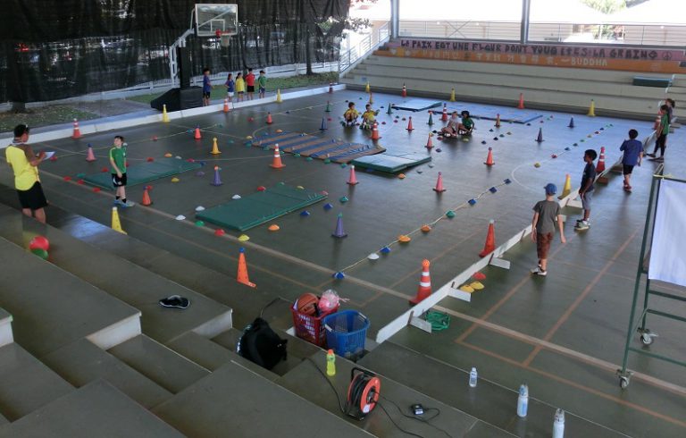 human Pacman PE activity - S&S Blog