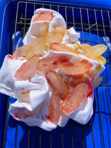 DIY Ice Cube Tie Dye Activity - S&S Blog