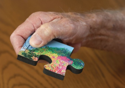 Therapeutic Effects of Jigsaw Puzzles for Your Residents With Dementia ...