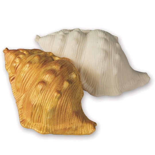 12 Seashell Crafts & Projects For Kids' Summer Programs - S&S Blog