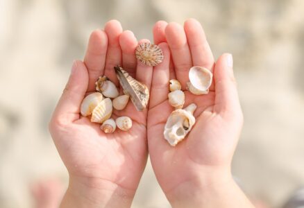 12 Seashell Crafts & Projects For Kids' Summer Programs - S&S Blog