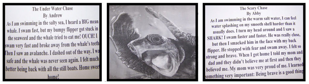 Student Writing Lesson Using Photographs - Classroom Ideas - S&S Blog