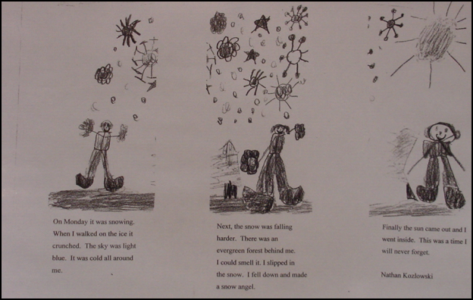 Narrative & Descriptive Writing Lesson Plan with Visual Illustrations ...