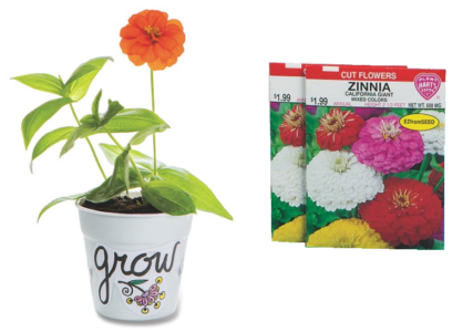 Grow Your Own Zinnia Flower Garden for Spring & Summer Season - S&S Blog